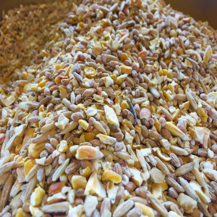 Stampede Scratch Corn 50 lb Bag - G5 Feed & Outdoor : G5 Feed & Outdoor ...
