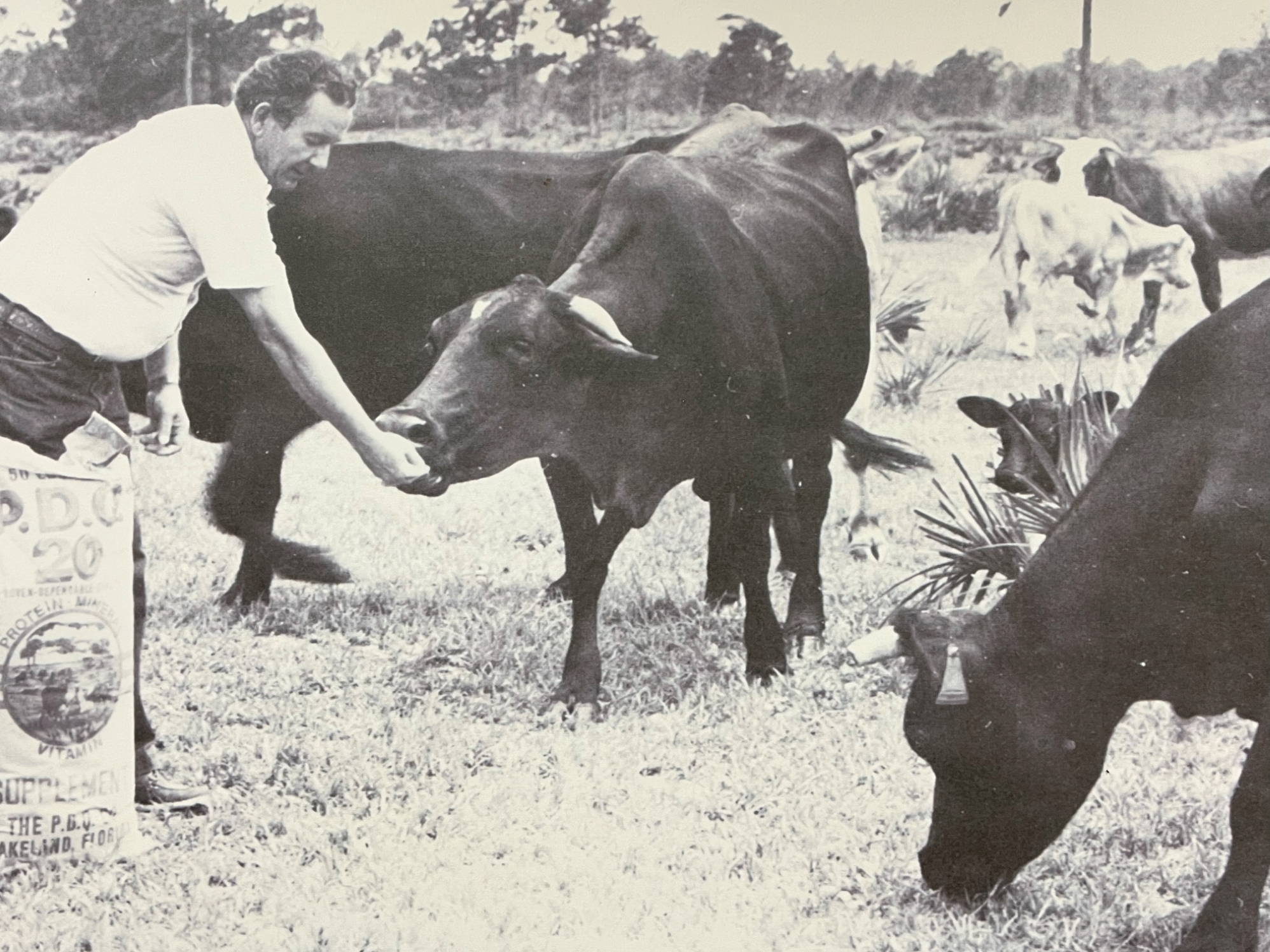 We Are G Five Feed & Outdoor - G5 Feed & Outdoor : G5 Feed & Outdoor ...