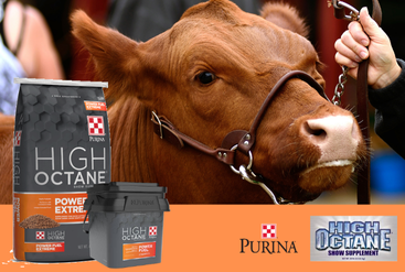 High Octane Power Fuel Supplement by Purina - G5 Feed & Outdoor : G5 ...